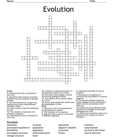 Evolution Crossword Wordmint Evolution Crossword Wordmint