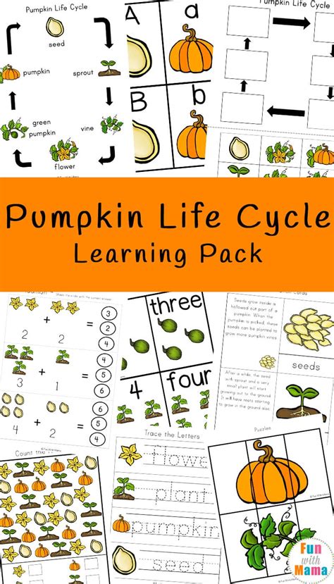 Life Cycle Of A Pumpkin Printable