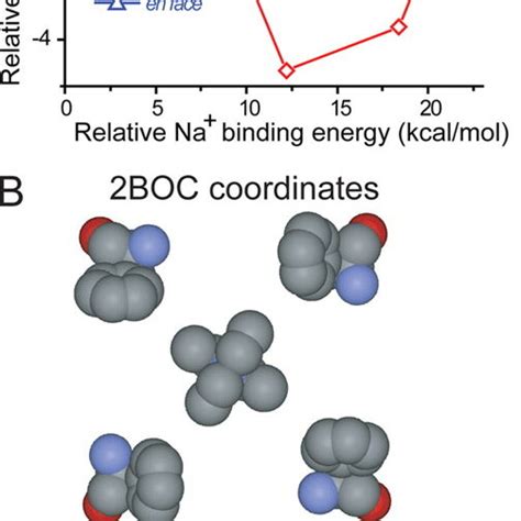 Thermodynamic And Ab Initio Calculations Support An En Face Model Of