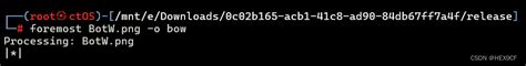 【ctf misc】xctf gfsj1103 botw writeup（文件提取 希卡文） csdn博客