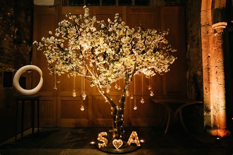 Blossom Tree Proposal The One Romance