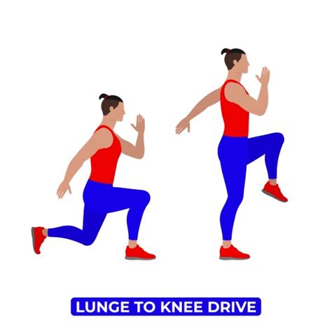 Reverse Lunges Vector Images 65