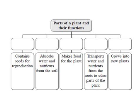 6 Graphic Conclution Pdf