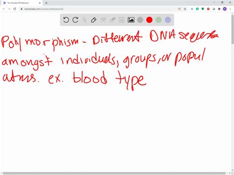Solved Do You Think That Polymorphism In A Gene Can Alter The Life History Of An Organism