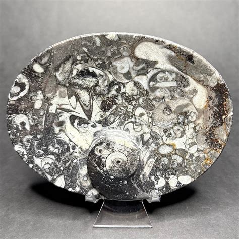 Fo107 Fossil Rock Dish The Rock Shed
