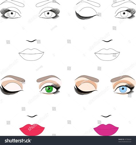 Samples Woman Face Scheme Makeup Application Stock Vector Royalty Free