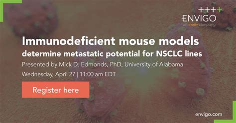 Modeling Nsclc Metastasis Differs Between Cell Lines As Well As Within Cell Lines Across