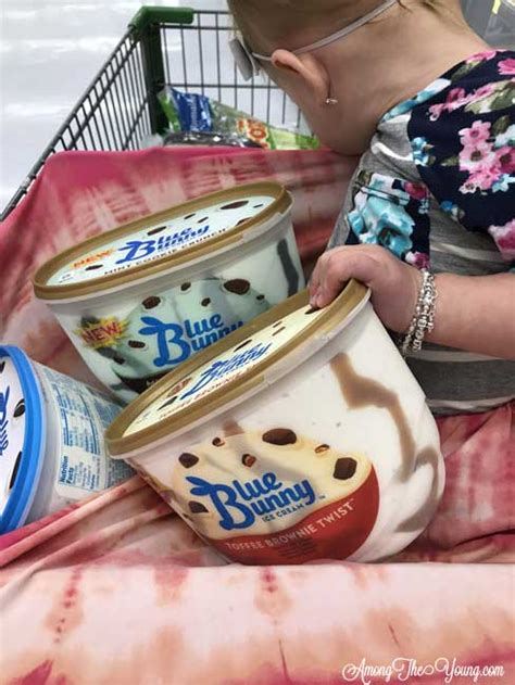 Blue Bunny Ice Cream Cake Recipe Foods Among The Young