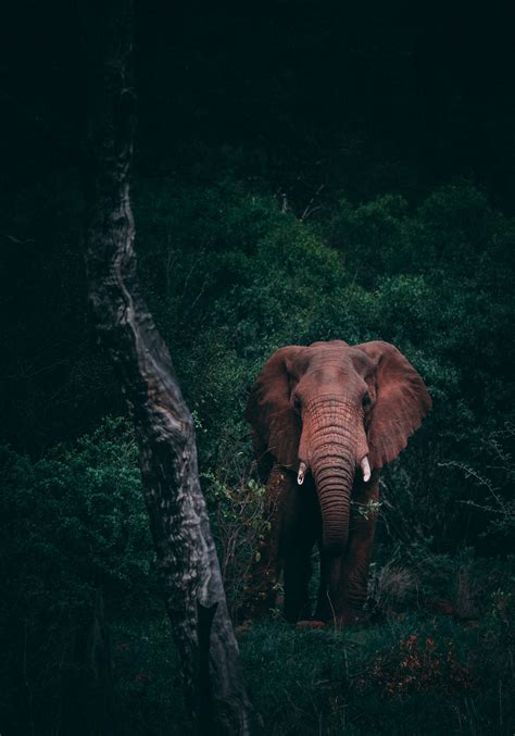Indexes Views And Triggers In Postgresql Learning Sql