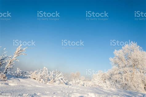 겨울 풍경입니다 나무에 서 리 프 로스트입니다 물 증발 안개 푸른 하늘입니다 화창한 날입니다 태양의 밝은 빛으로 가득 물 증기와 포화 불투명 공기 0명에 대한 스톡 사진 및