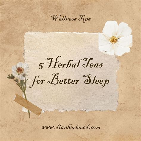 Erica Yang Entrepreneur Tcm Informed Beauty And Health