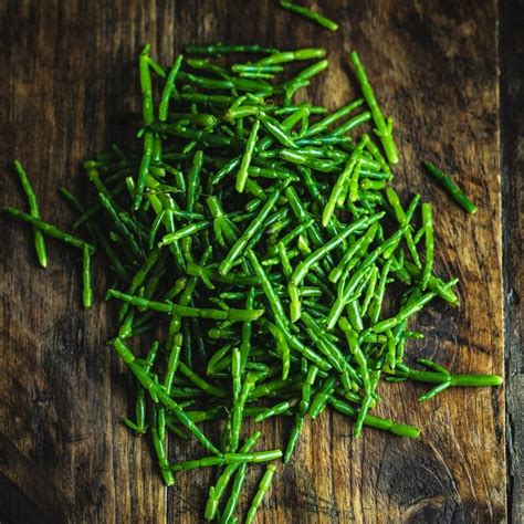 Organic Samphire 100g Riverford