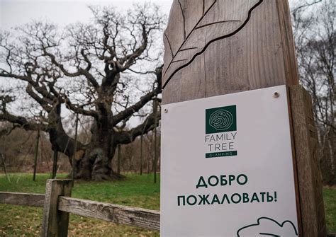 Glamping Family Tree Logo Branding Behance Behance