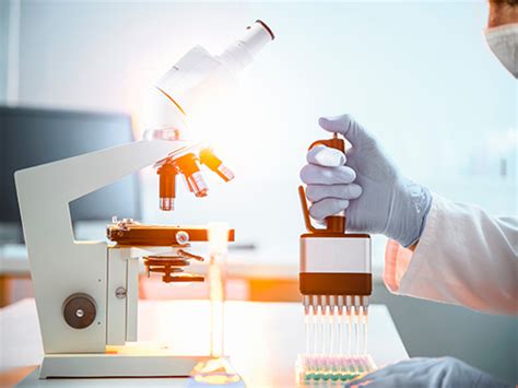 Células Nk La Nueva Promesa De La Terapia Con Tecnología Car