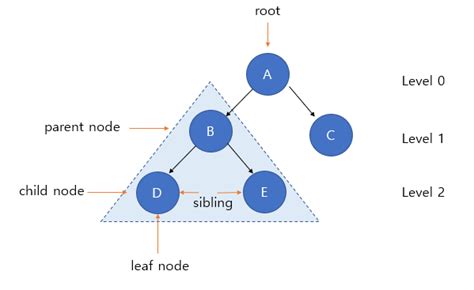 Algorithm Tree
