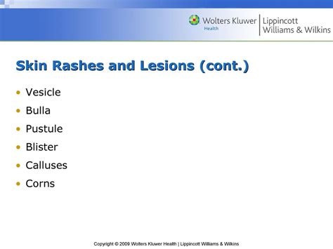 Chapter 60 Structure And Function Of The Skin Ppt Download