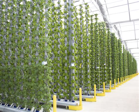 Commercial Hydroponic Greenhouse Systems Eden Green Technology