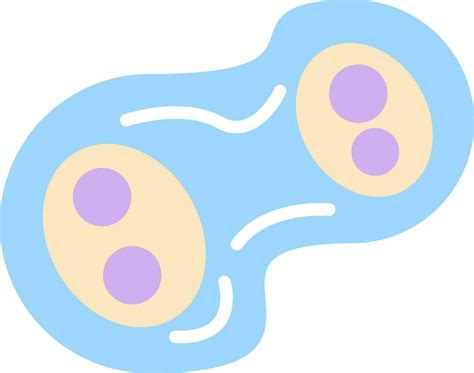 Cell Division Vector Icon Design 24897106 Vector Art At Vecteezy