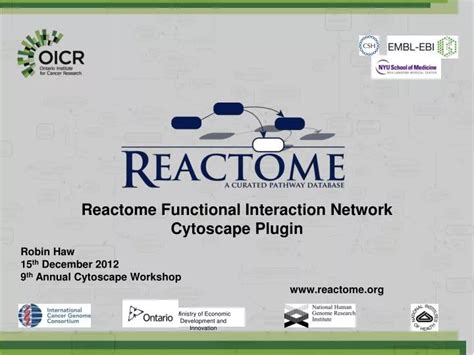 Ppt Reactome Functional Interaction Network Cytoscape Plugin Powerpoint Presentation Id3200664