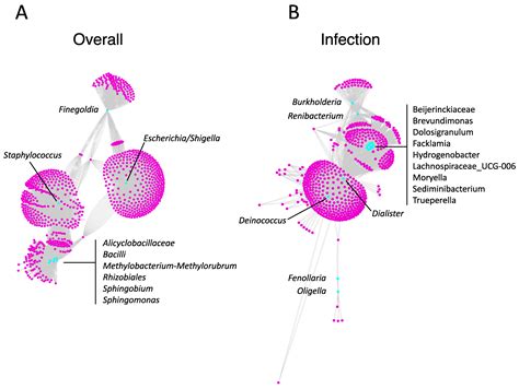 Biofilms On Indwelling Artificial Urinary Sphincter Devices Harbor Complex Microbemetabolite
