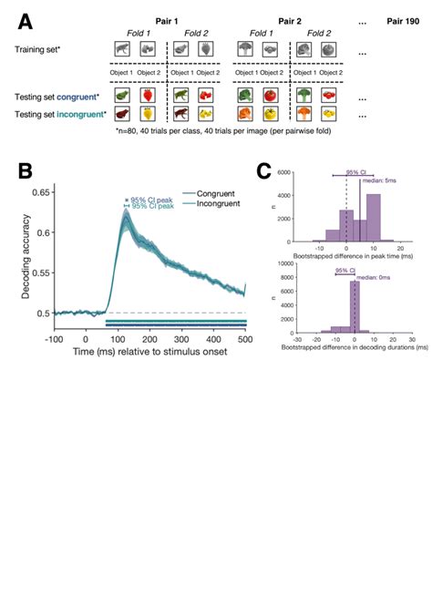 Results Of The Object Exemplar Decoding Analysis The Classifier Was Download Scientific