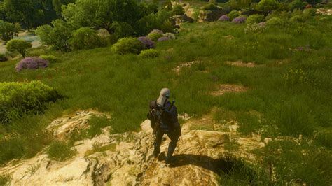 The Witcher 3 Bessere Grafik Mit Händisch Angepassten Pcgh Einstellungen