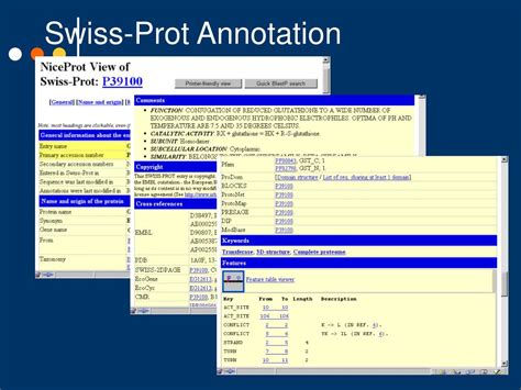 Ppt Protein Functional Annotation Powerpoint Presentation Free Download Id 4766513