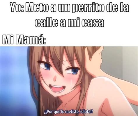 Neim Uchi No Otouto Maji De Dekain Dakedo Mi Ni Konai Rgodanimesh