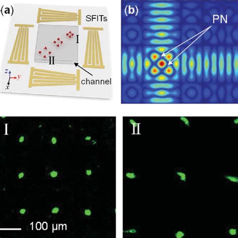 Pdf Tunable Patterning Of Microparticles And Cells Using Standing
