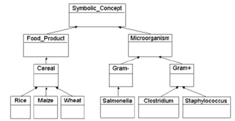 Excerpt Of Owl Class Hierarchy For Symbolic Concepts In The Microbial Download Scientific