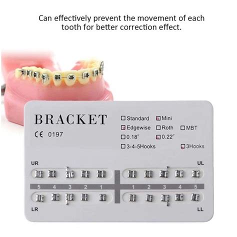 Mental Mini Orthodontic Appliance Fake Braces 3 Hooks Edgewise Dental Brackets 377 Picclick Au