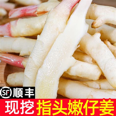 嫩姜新鲜大仔姜子姜山东红芽指头5斤生姜现挖非云南小黄糖醋老姜 虎窝淘