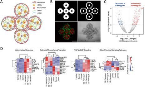 Microtester Multi Mode Testing On Micro Sized Specimens
