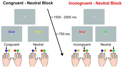 representation of the experimental design of the two blocks download