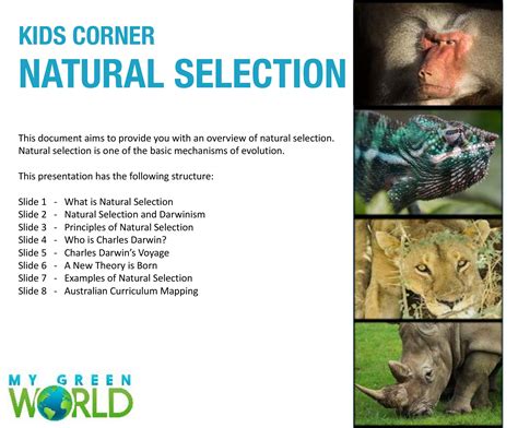 Natural Selection Examples