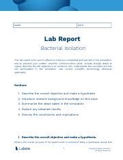 Lab Report Bacterial Isolation Experiment Course Hero