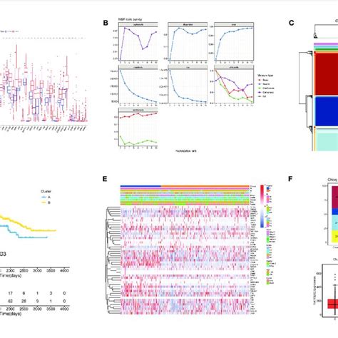 Nonnegative Matrix Factorization Clustering Identified Two Adipose