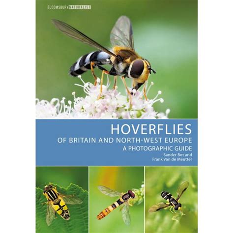 Hoverflies Of Britain And North West Europe A Photographic Guide