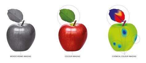 Hyperspectral Machine Vision Perception Park Integrys