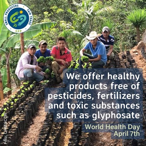 Spp Small Producers On Linkedin At Spp We Work Every Day To Bring Healthy And Environmentally