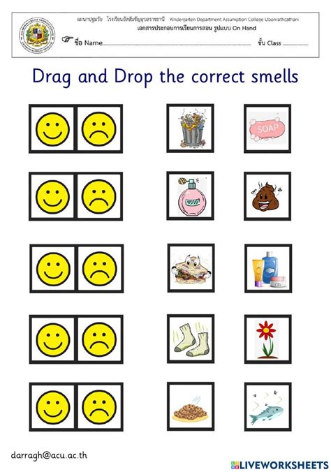 Smells Free Interactive Worksheets 1244434