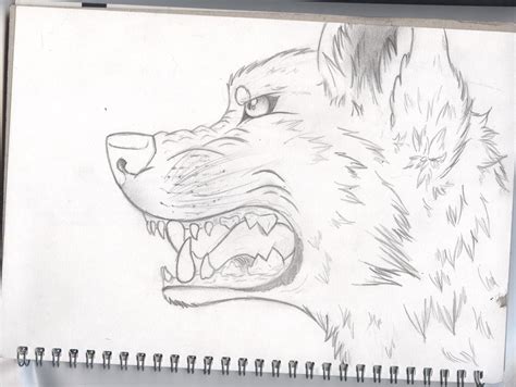 Wolf Teeth Drawing At Explore Collection Of Wolf