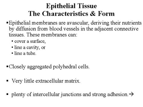 Chapter 4 Epithelial Tissue Tissues Cells Work Together