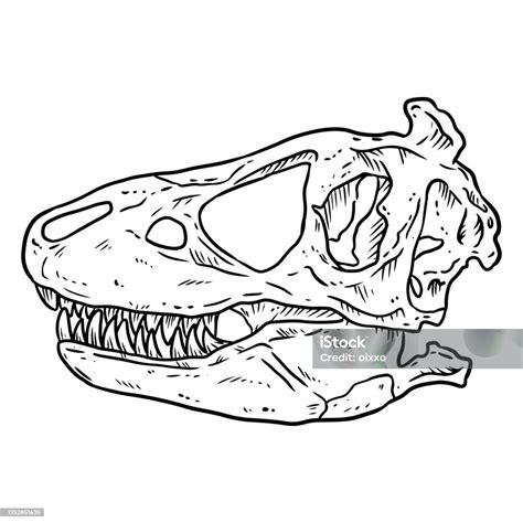 Trex Fosil Tengkorak Tangan Digambar Gambar Sketsa Gambar Ilustrasi