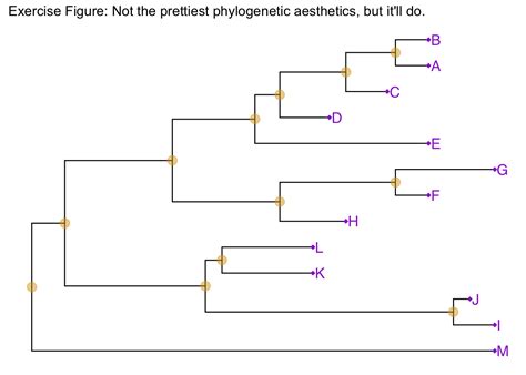 Biological Data Science With R 13 Visualizing And Annotating Phylogenetic Trees