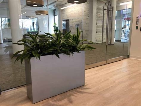 Rectangle Planters Massachusetts Office Plant Service Interior