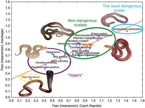 Snake Detection Theory Did Snakes Play A Role In Primate Evolution Snake Detection Theory Did Snakes Play A Role In Primate Evolution