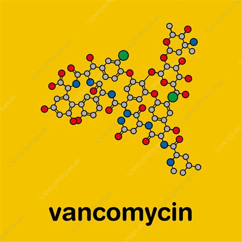 Vancomycin Antibiotic Drug Molecular Model Stock Image F025 3258 Science Photo Library