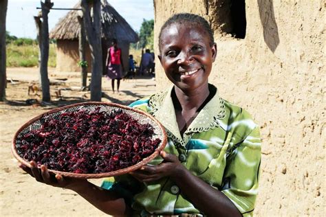 Our Magnificent Indigenous Fruits Naturally Zimbabwean