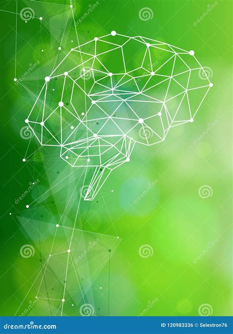 Brain Network Layers Prominent Central Structures Neural Network